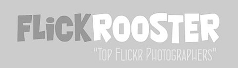FlickRooster, le classement des meilleurs photographes Flickr ...